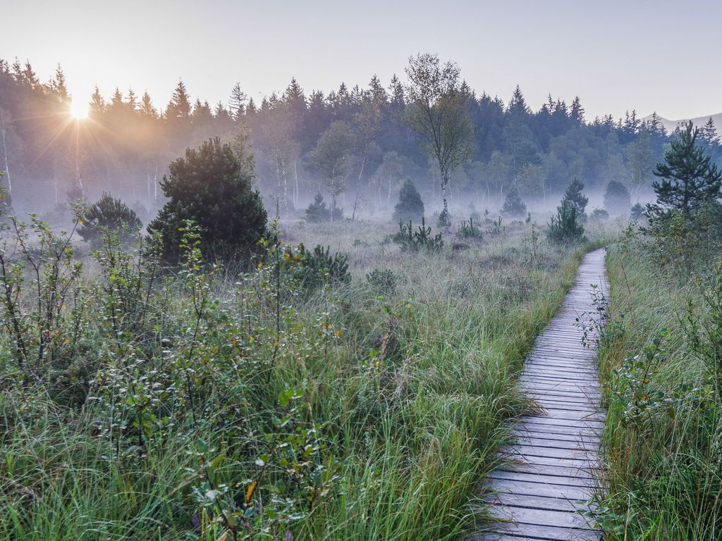 Murnauer Moos: Einzigartiges Naturerlebnis in Bayern